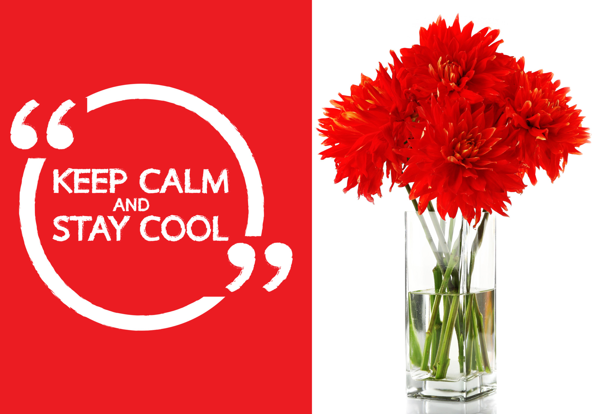 Keep Calm and Stay Cool! - FloraLife