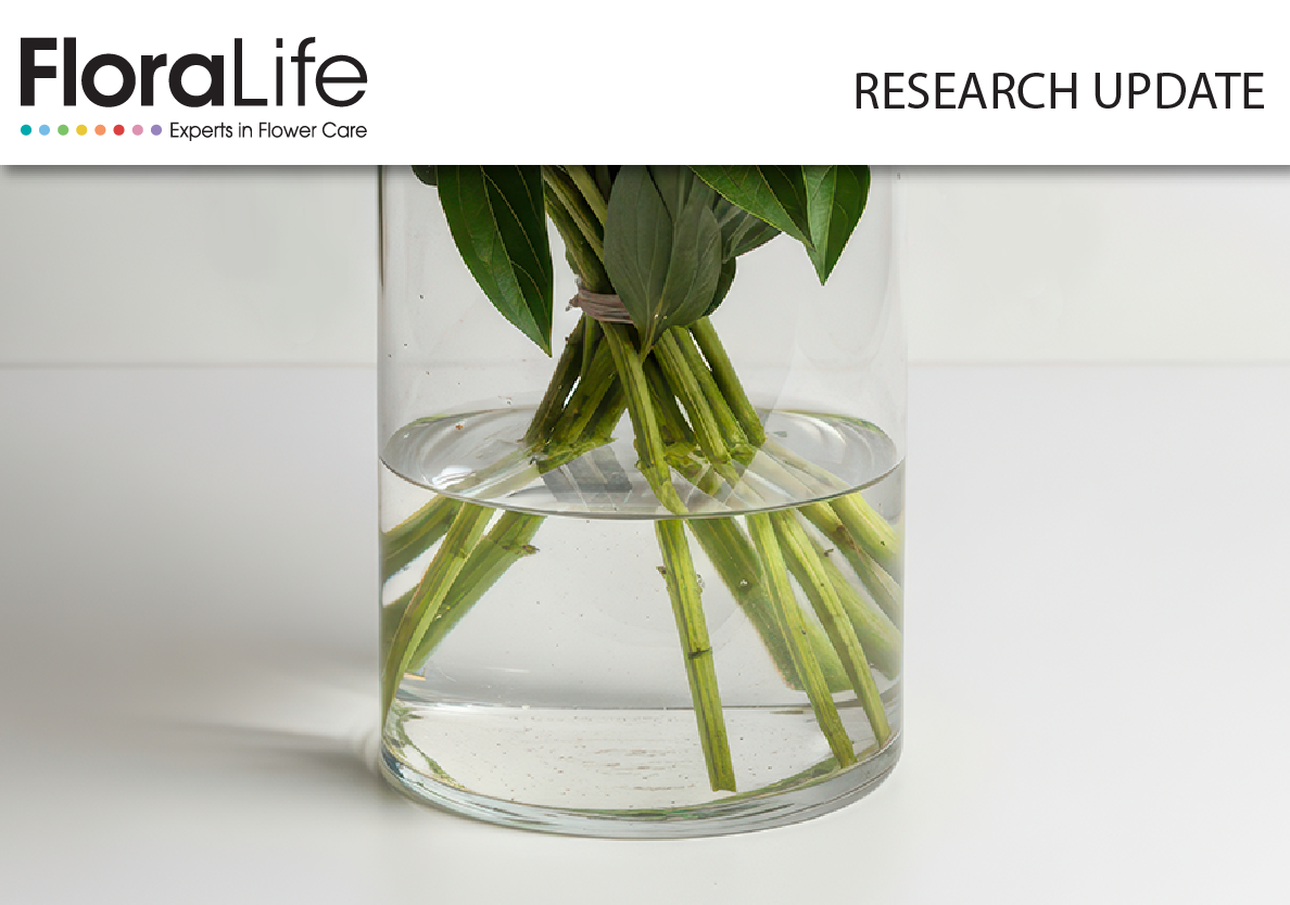 Water Temperature and Cut Flower Hydration - FloraLife