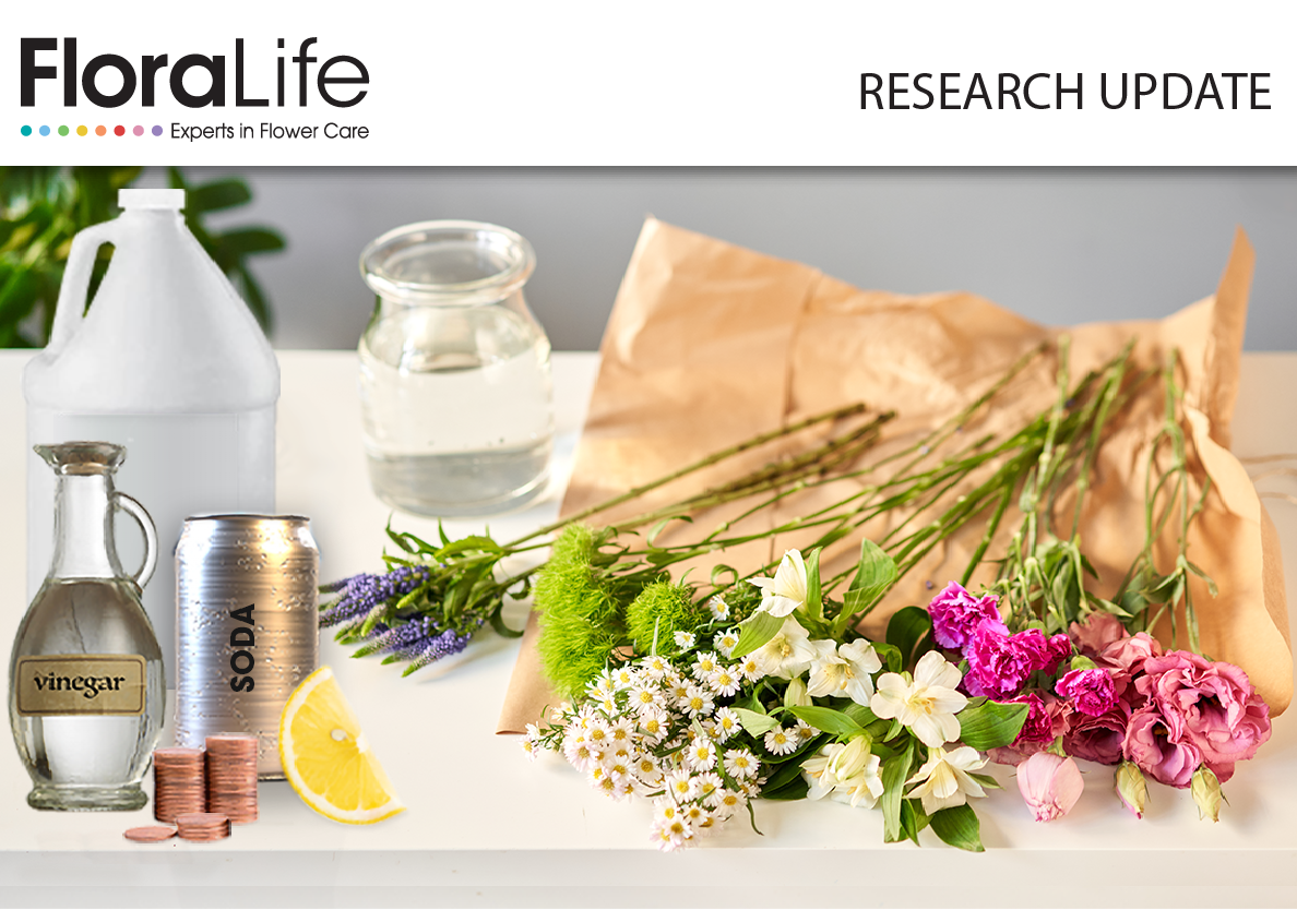 Efficacy of Different Homemade Flower Food Recipes Compared to ...